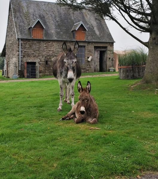 La Billardière Camping à La Ferme - Orne