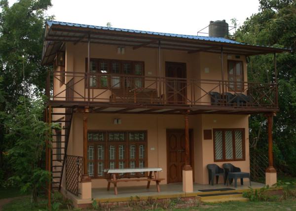 Tamarind Tree Masinagudi - Masinagudi