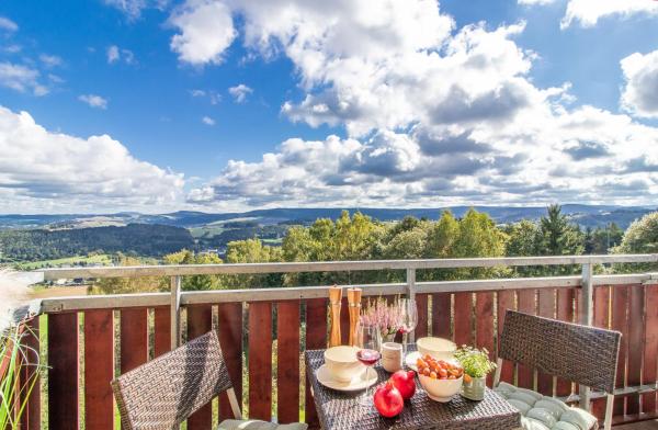 Apartment Bergliebe I Balkon I Aufzug I Stellplatz - Allemagne