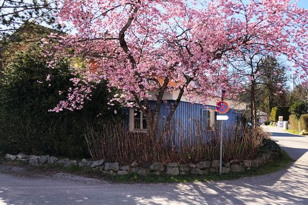 Seeloft Seeshaupt - Loft-appartement Am Starnberger See - Seeshaupt