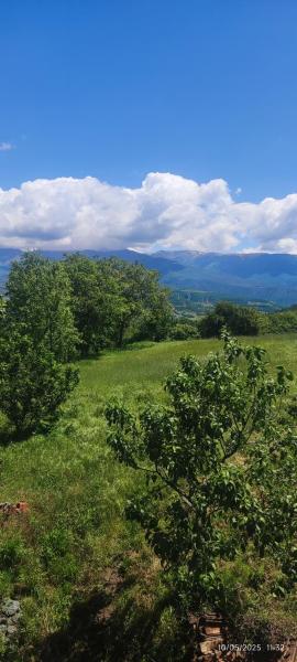 Rreshka-mreshkes - Albania
