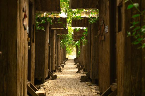 Olympos Yakamoz Pansiyon - Törökország