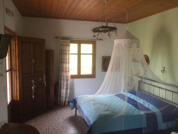 Hakuna Matata - Лесбос