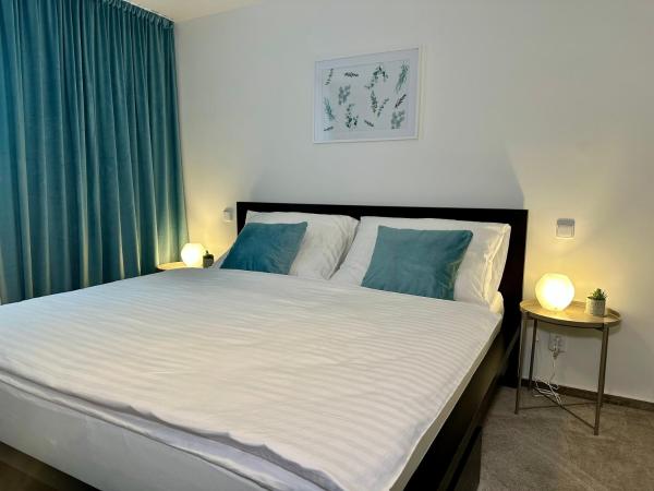 Apartmán Pardubice - Pardubice