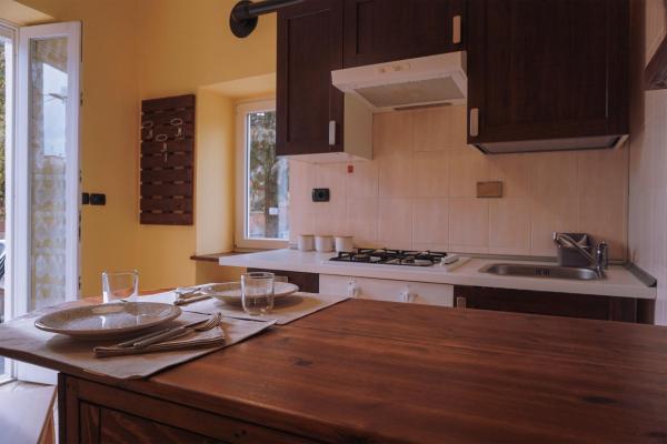 Le Ortensie - Cavour