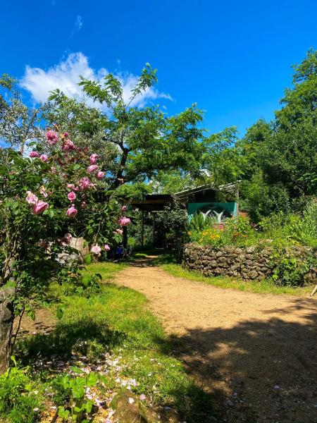 Dortoir Dans La Nature - Ardèche