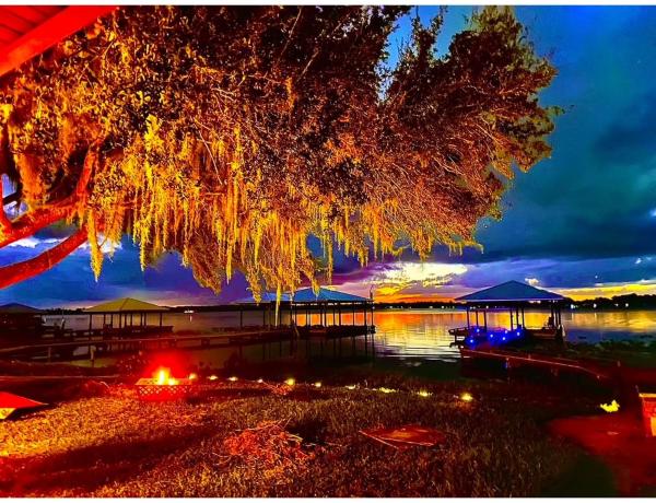 Lake Francis Lily Pad - Lake Placid, FL