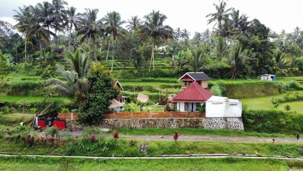 Kunang Kunang - Lombok