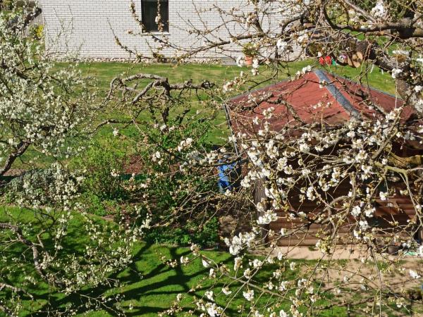 Fewo Panorama - Bad Friedrichshall