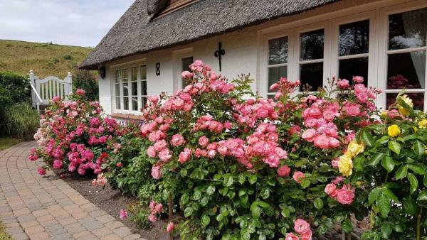 Haus Husen Id 430 - Sankt Peter-Ording