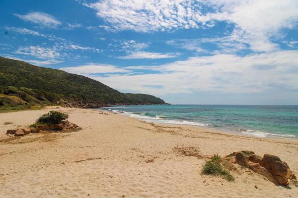 Le Chalet De La Plage - Corse-du-Sud