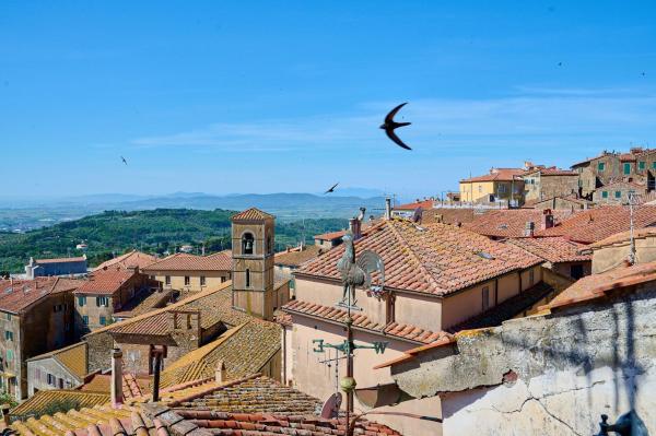 La Soffitta - Campiglia Marittima
