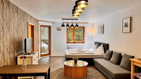 Waldtwin 1 Titisee - Balkon Mit Naturblick Und Seenähe 5 Minuten - Titisee-Neustadt