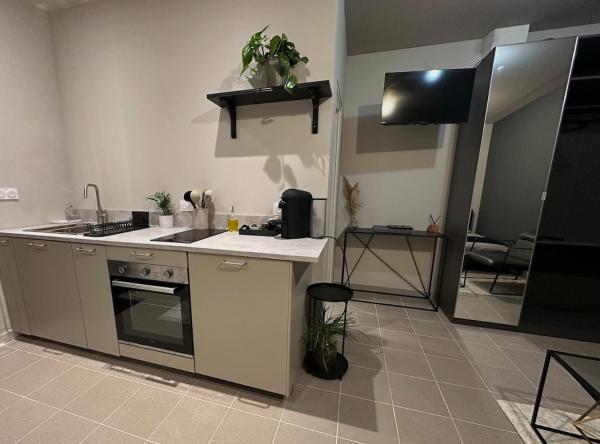 Grand Studio - Lyon-Saint Exupéry Airport (LYS)