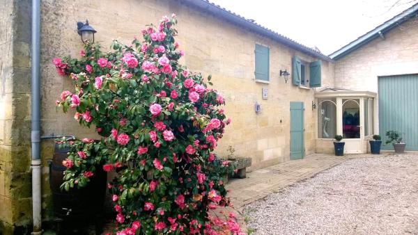 Les Vignes - Gironde