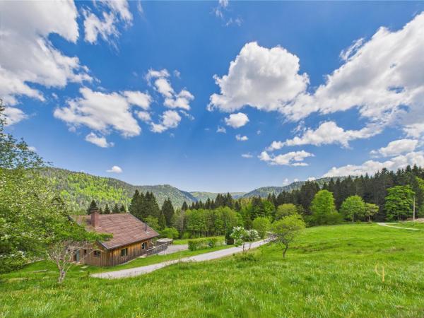 Chalet Les Plombes - Isolé, Jacuzzi, Piscine - Xonrupt-Longemer