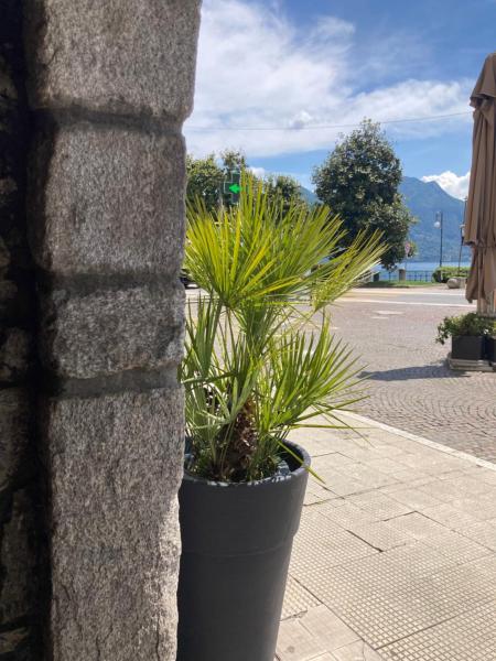 Casa Maria - Verbania