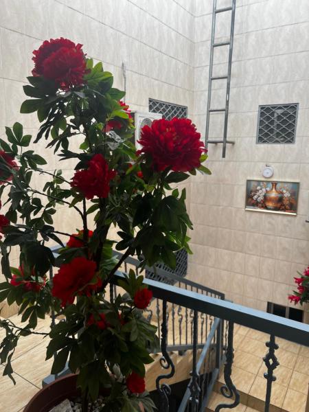 Résidence Shalom Bonamoussadi - Appartements Deluxe Avec Wifi, Clim, Parking, Gardien 24h - Douala