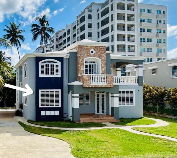 Coral Of The Seas - Fire Coral - Aguada