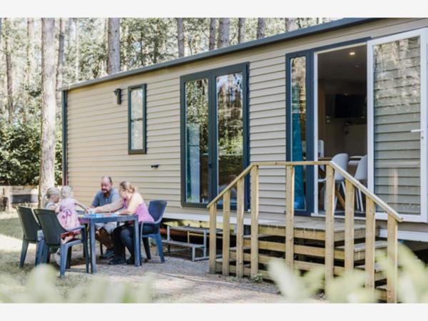 Tranquil Pine Forest Chalet In Antwerp Kempen - Lille, Belgium