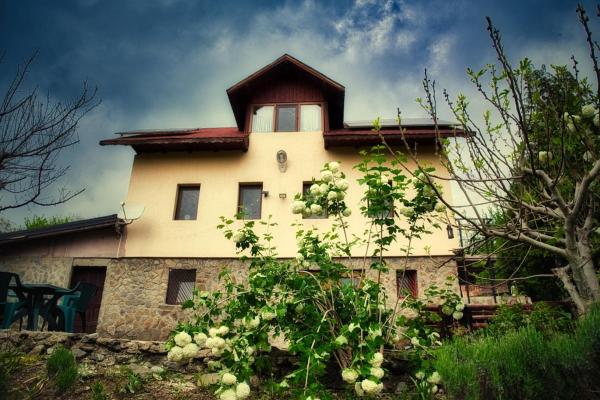 Căsuța Din Pădure Calimanesti - Brezoi