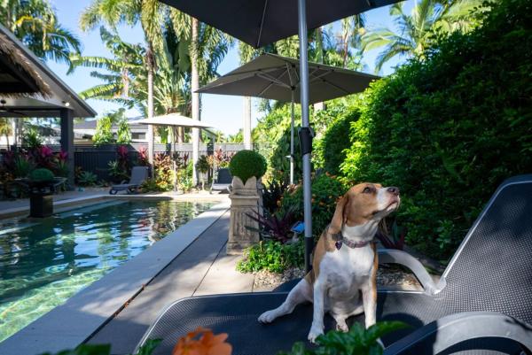 Belle Escapes Villa Riviera - Cairns