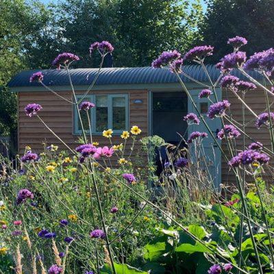 Steam And Stars Luxury Glamping - Watchet