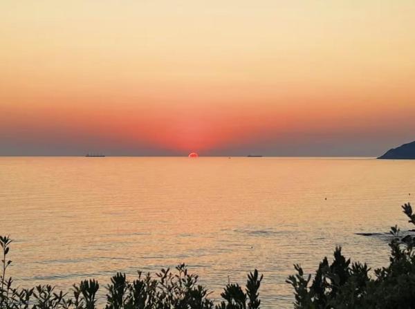 2 Tuscan Seafront Apartments With Private Access To Sea - Rosignano Marittimo