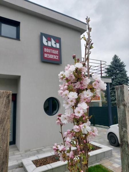 Titi Boutique Apartmanok - Węgry