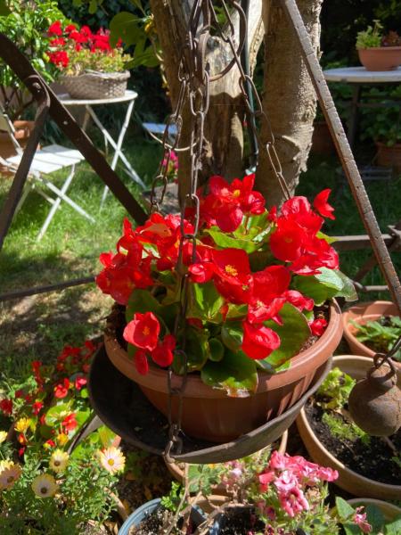 Tuscany Location - Lazio