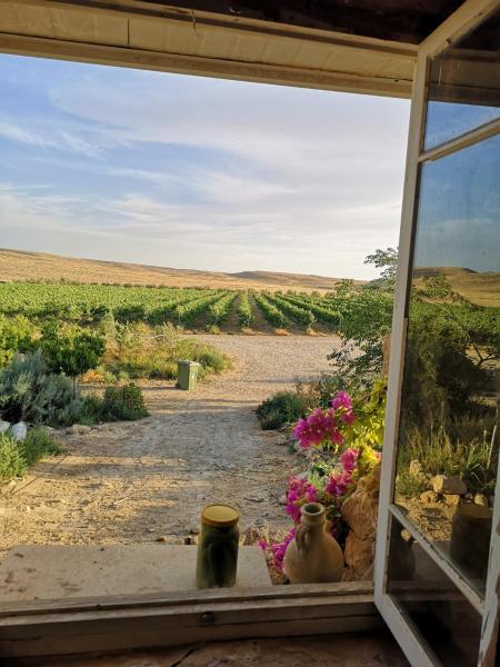 כרם שיזף - Israel