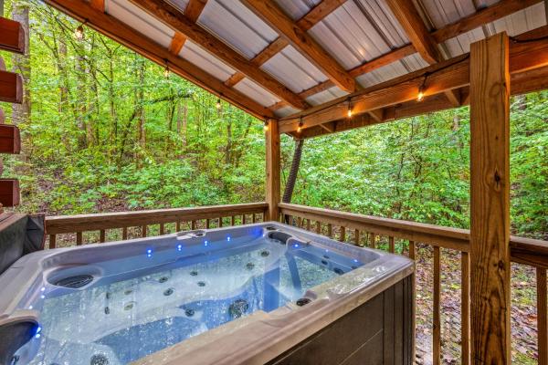 Cozy Cove - Townsend, TN