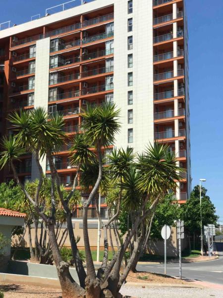 Animar Piso En Algaida Oropesa - Oropesa del Mar