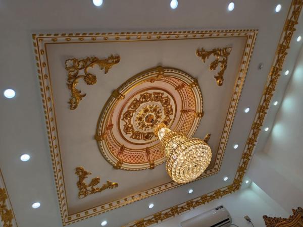 Rajmaya Tower - Bangladesh