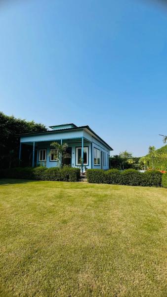 Wiseone Choice - Noida