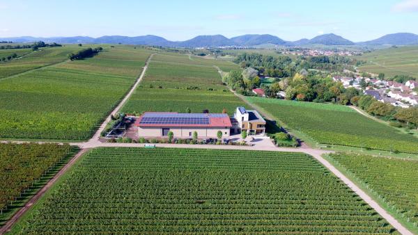 Vögelis Weinnest - Landau