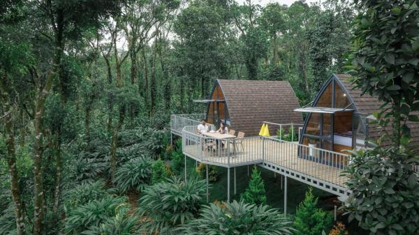 Vanani Resort And Caravan Park - Idukki
