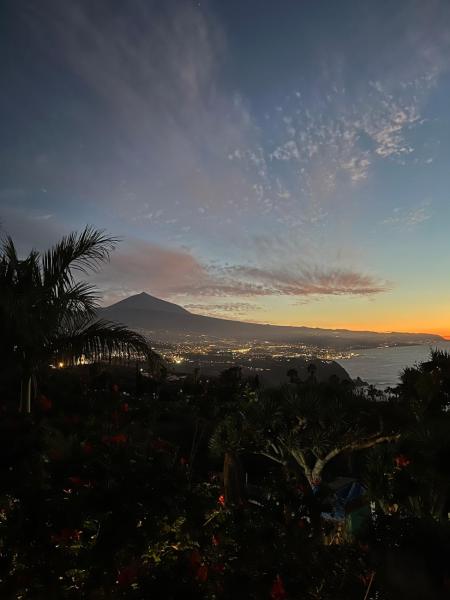 Great Views & Heated Pool - El Perenquen 1 - Tenerife