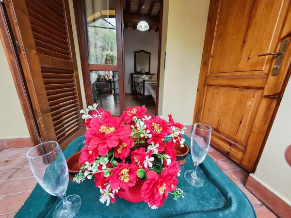 Max And Lea's House - Bibbona