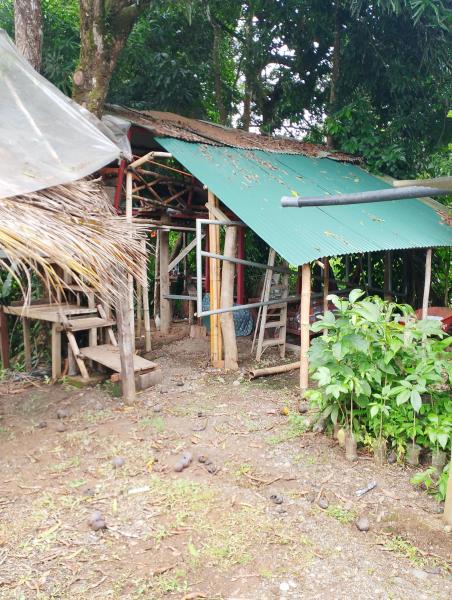Casa De áRbol Familiosa - Costa Rica