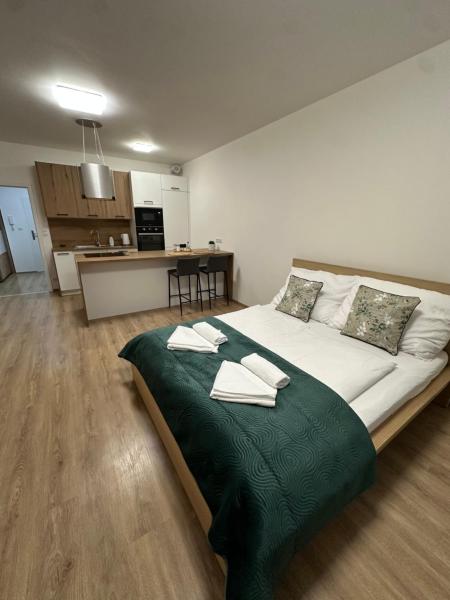 Sunny Apartment Brno - Brno