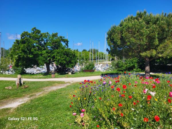 Le Grenier A Sel - Ronce-les-Bains
