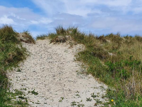 Ferienhaus Norderny Direkt Am Deich, Fledderweg 8 In Norddeich - Norderney