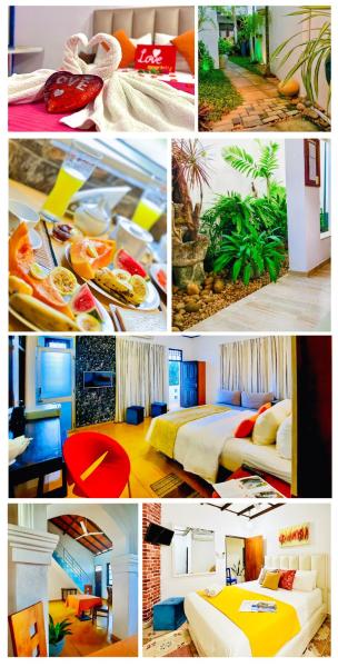 Hotel Dorset - Sri Lanka