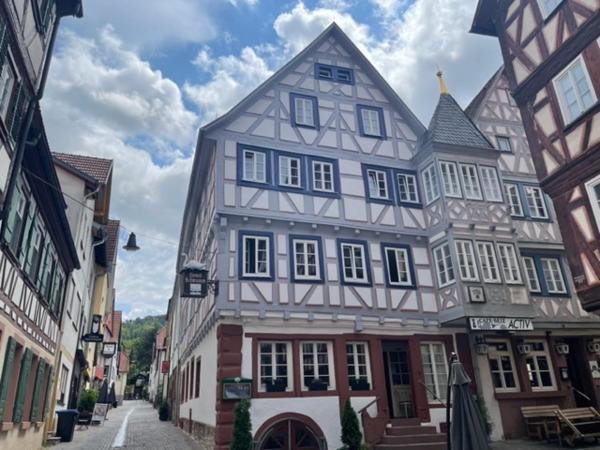 Hotel Schwanen - Mosbach