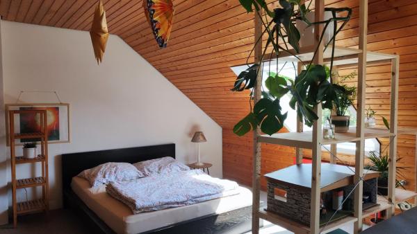 Big Cozy Entire Family Appartment - Hanovre