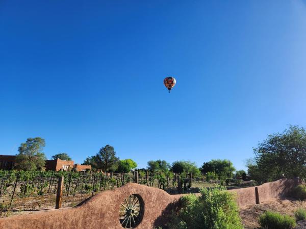 Red Mountain Manor Vineyard And Guesthouse - Rio Rancho, NM