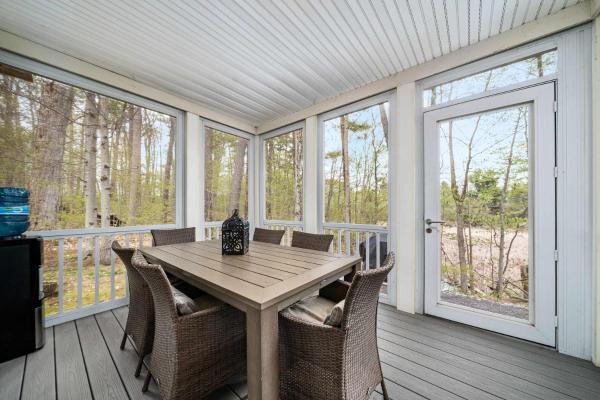 The Tree Frog - 12 Pine Forest - Ontario