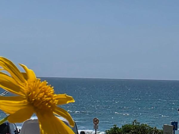 Alojamento Da Praia Da Areia Branca - Lourinhã