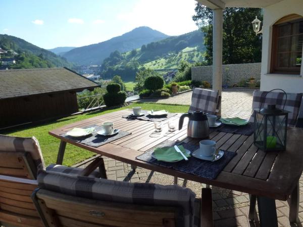 Modernly Furnished Holiday Apartment - Oberharmersbach